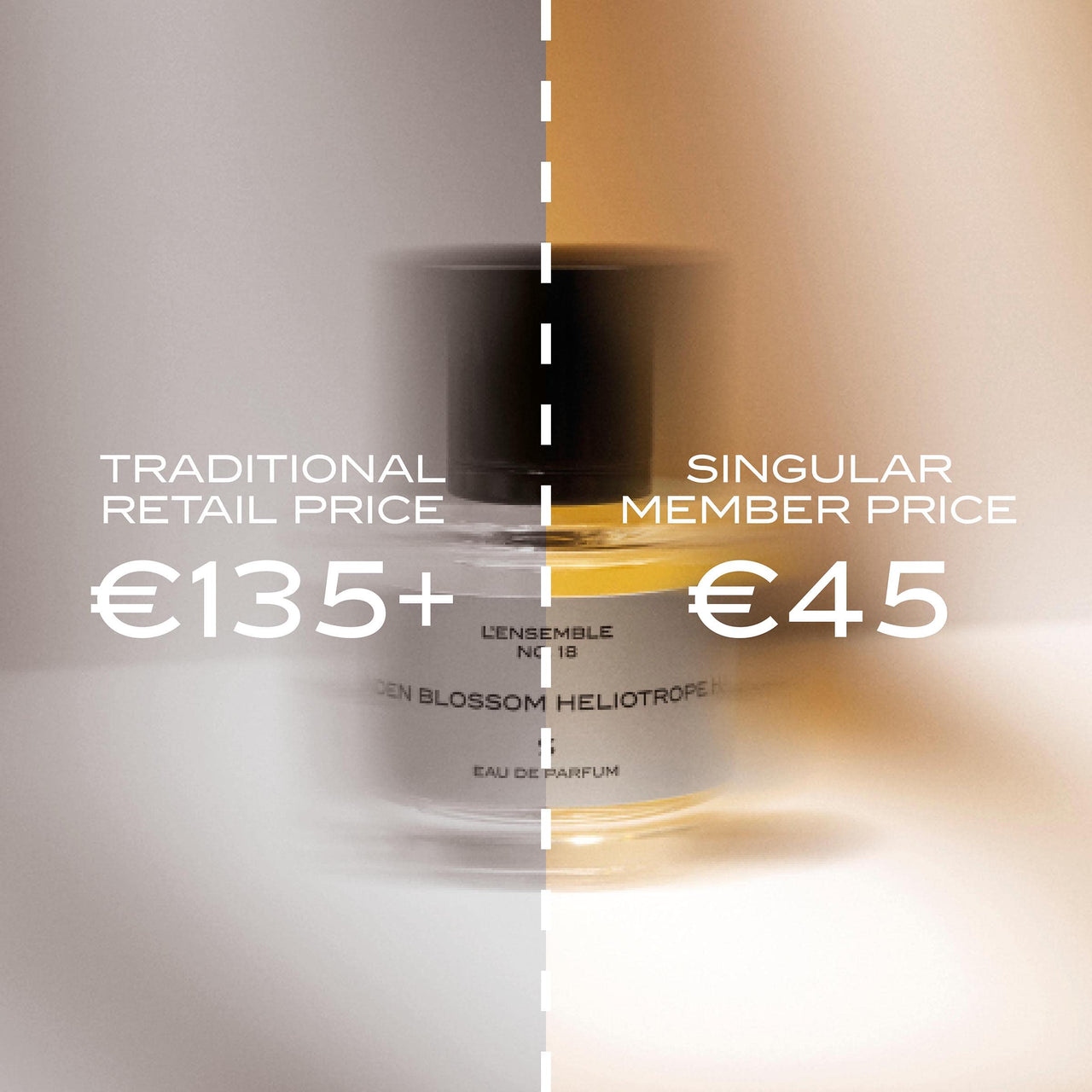 How it works – Singular Society